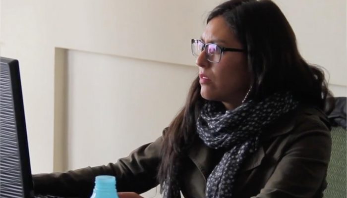 Descubrimiento del volcán Alto Toroni