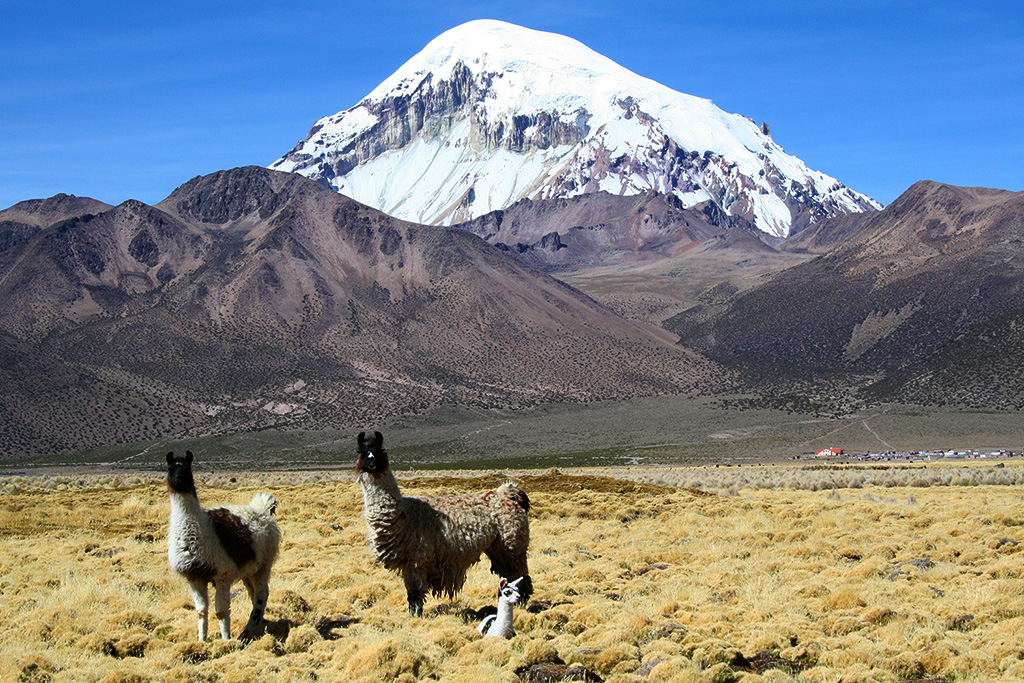 Climbing the Sajama volcano in Bolivia with Thaki Travel